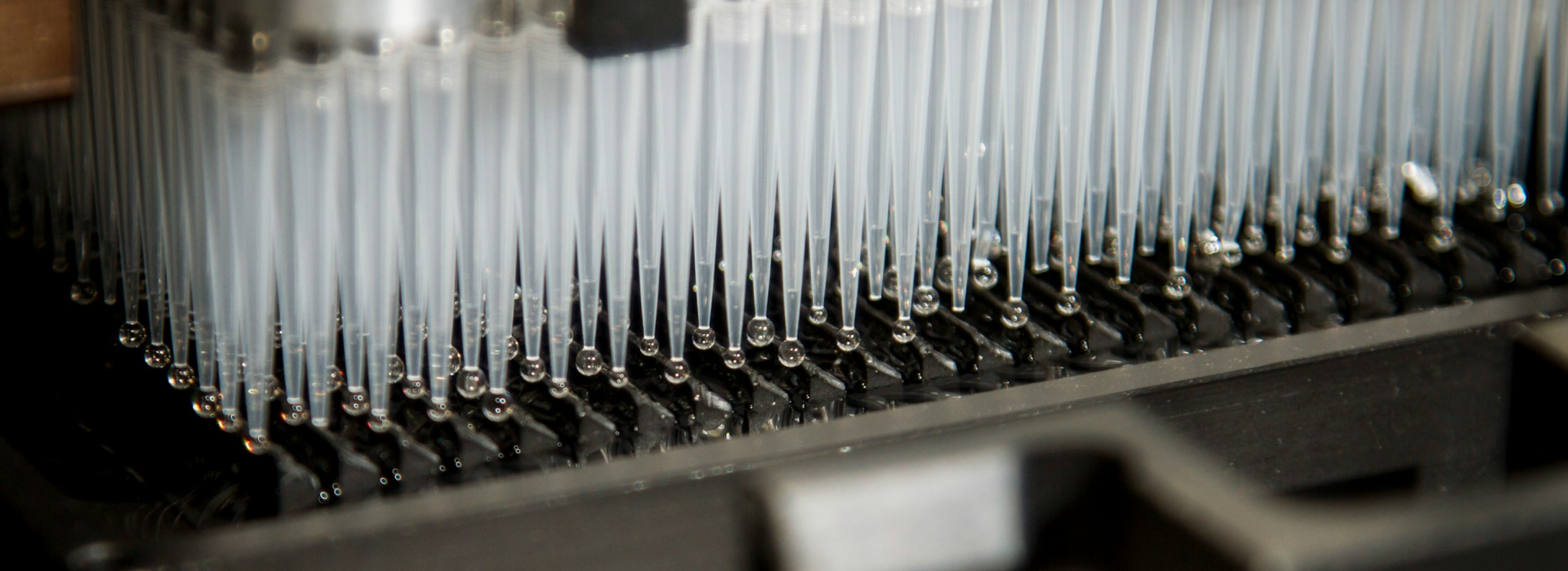 Software Development Case Studies - Romexsoft